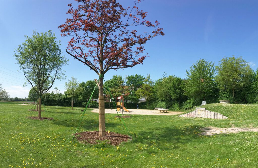 Projekt: Spielplatz „Vom Ei zum Huhn, vom Huhn zum Ei“ in Kehl-Sundheim ...